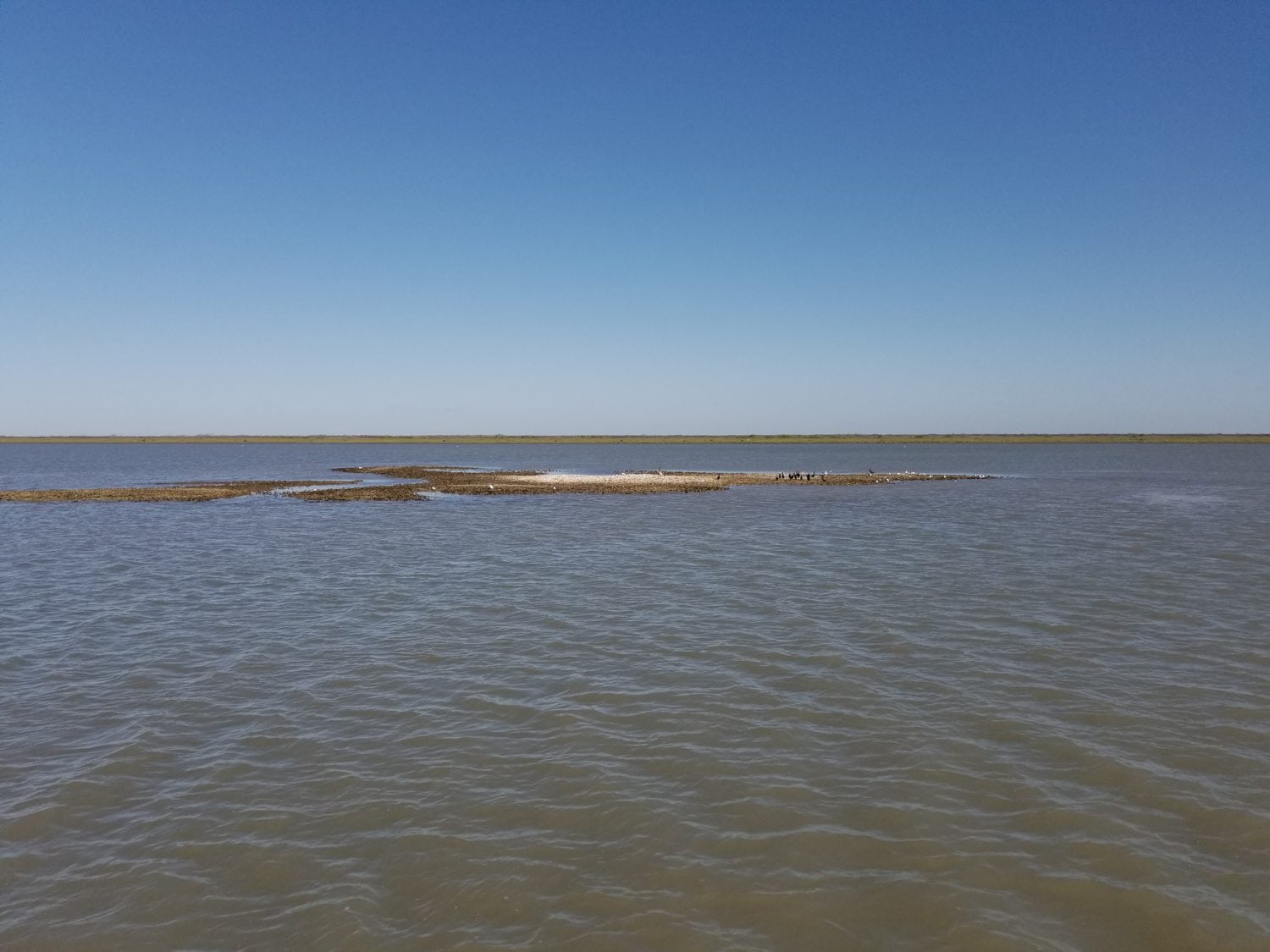 Rockport-Fulton's Spring Fling Brings Tourists Back To Aransas Bay ...
