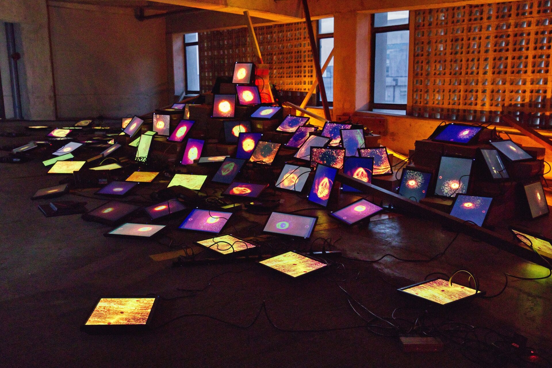 Dallas Aurora Opens Area 3 Art exhibit - Focus Daily News