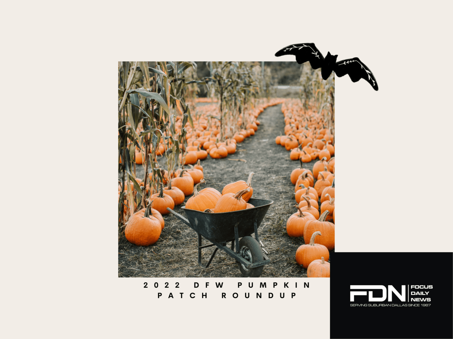 2022 DFW Area Pumpkin Patches, Fall Festivals - Focus Daily News