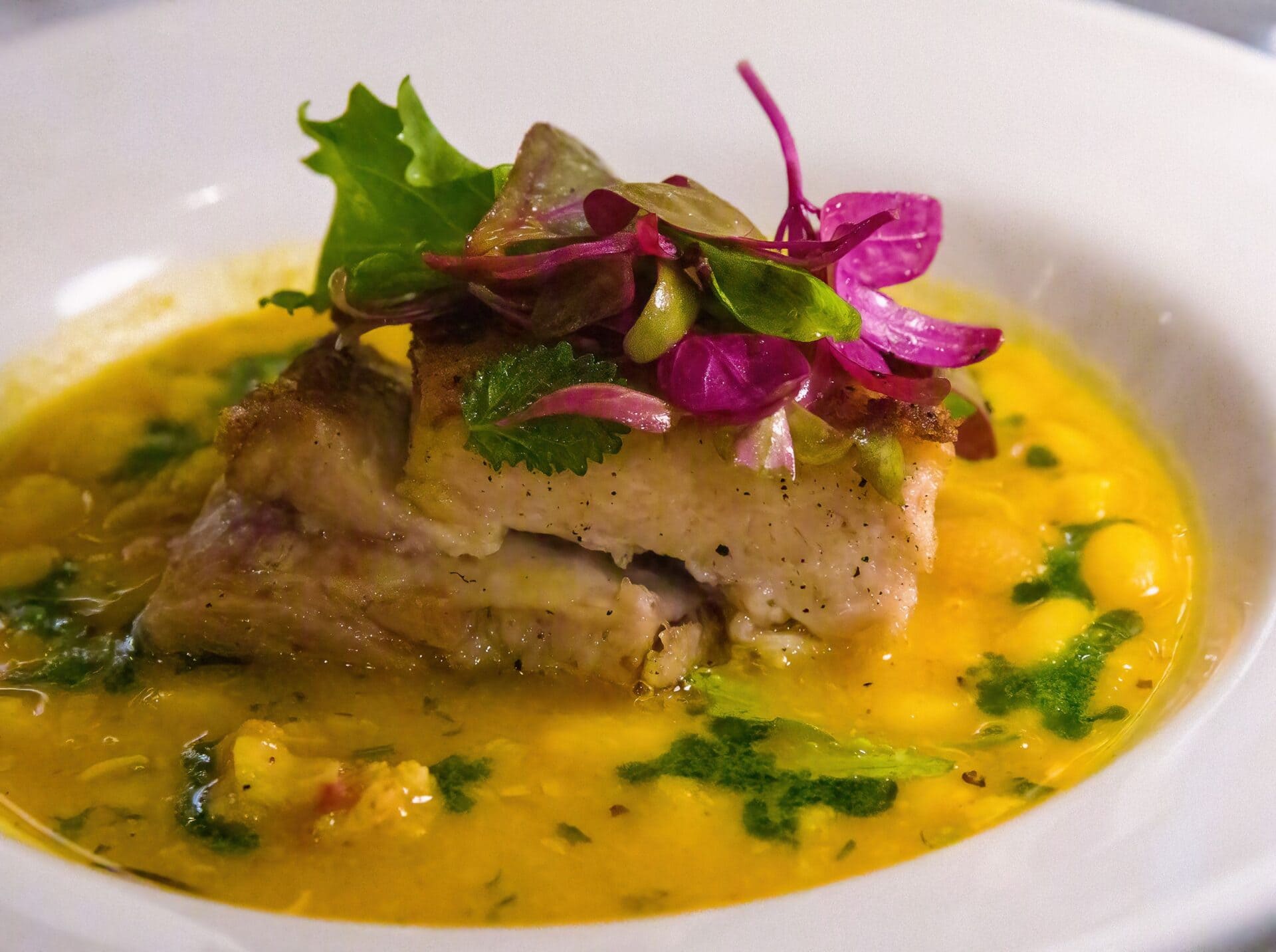 Spain Fusion Dinner Held at Roots Southern Table