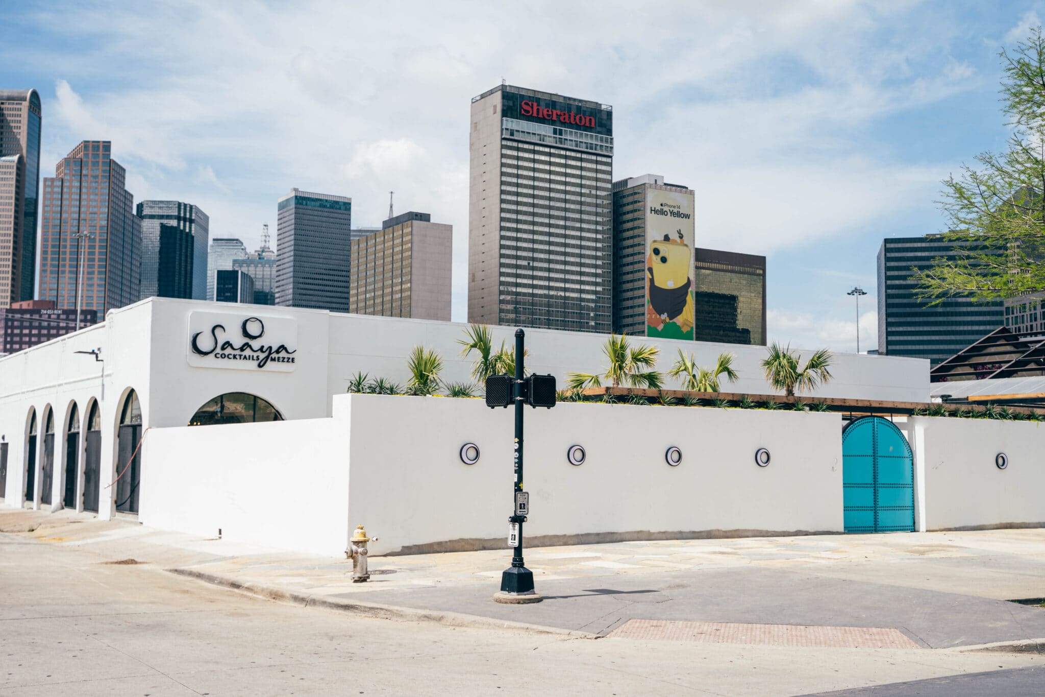 Milkshake Concepts Unveils a New Oasis for Dallas with Saaya - Focus ...