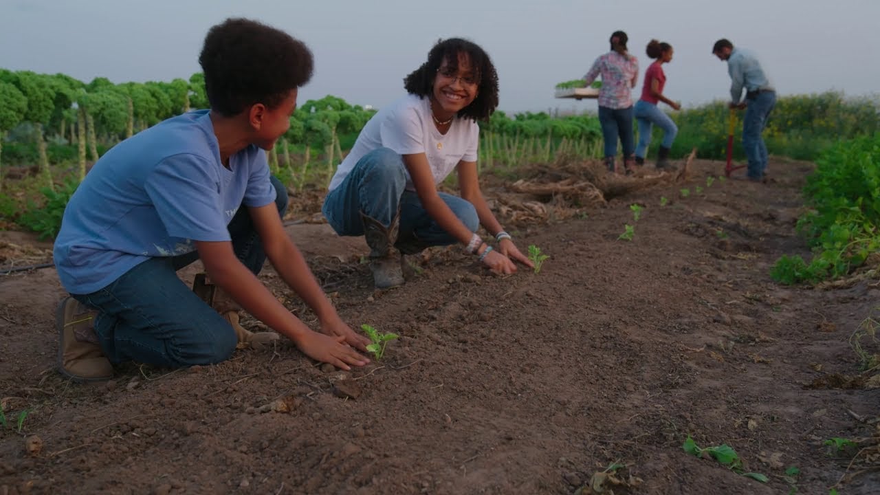 New Video Shows Impact of USDA Program on Local Producers and Texas ...